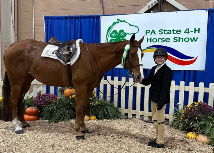 Clinton County 4-H horse exhibitors place in top 10 at state show in ...